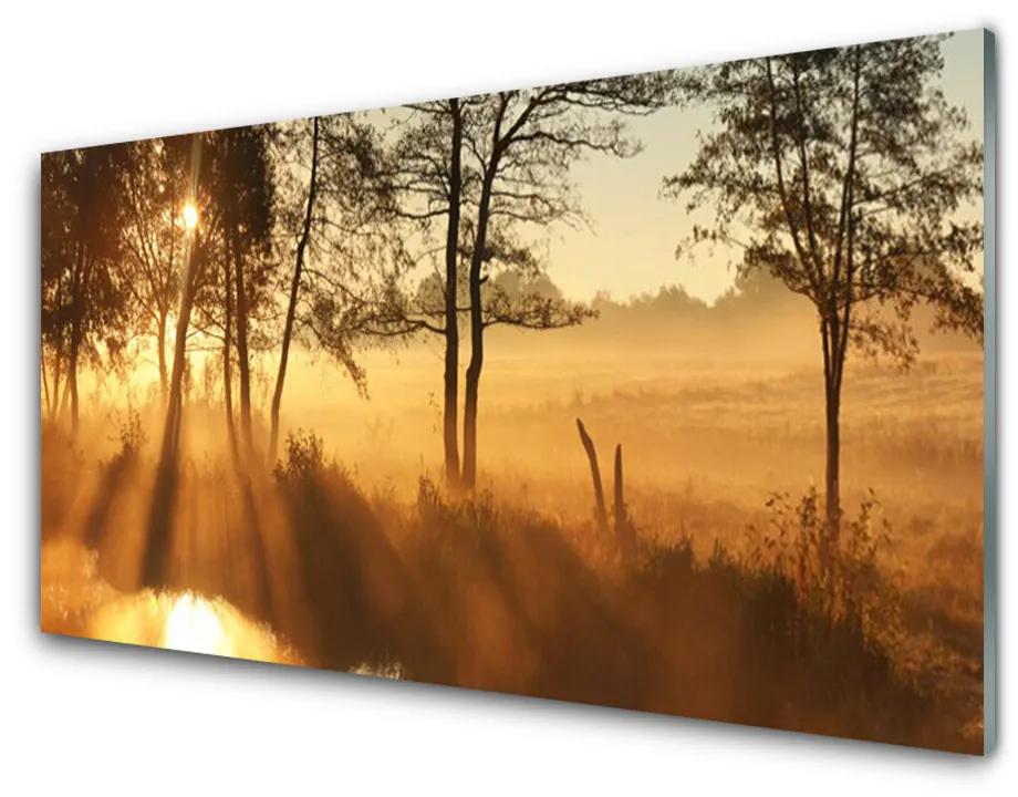 akrylový obraz Stromy Příroda 140x70 cm