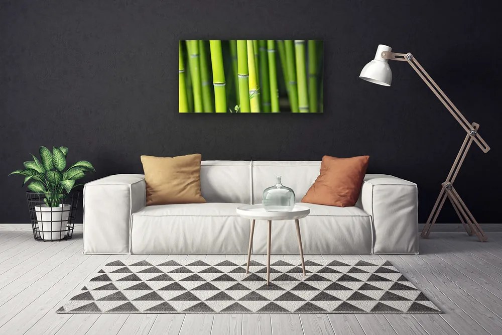 Obraz na plátně Bambus Příroda Rostlina 120x60 cm
