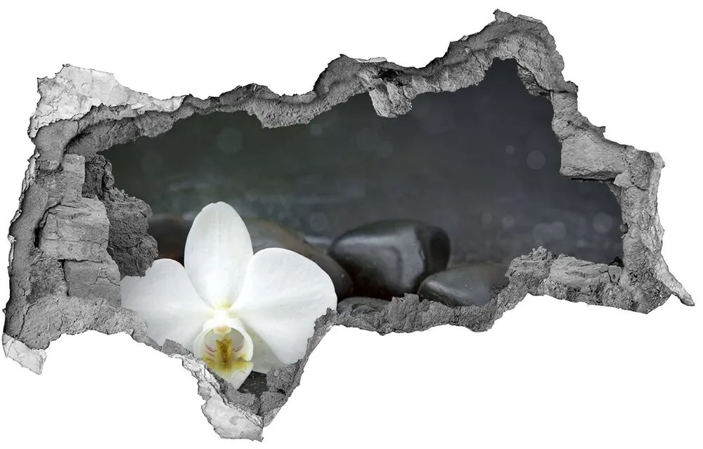 Wallmuralia Samolepící nálepka fototapeta Orchidej 95x73 cm