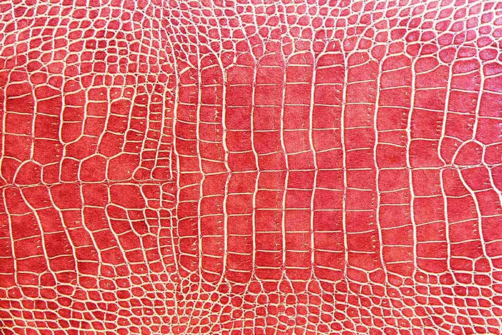DIMEX | Samolepicí vliesová fototapeta na zeď Textura červené krokodýlí kůže MA-5-2588 | 375 x 250 cm | červená, bílá