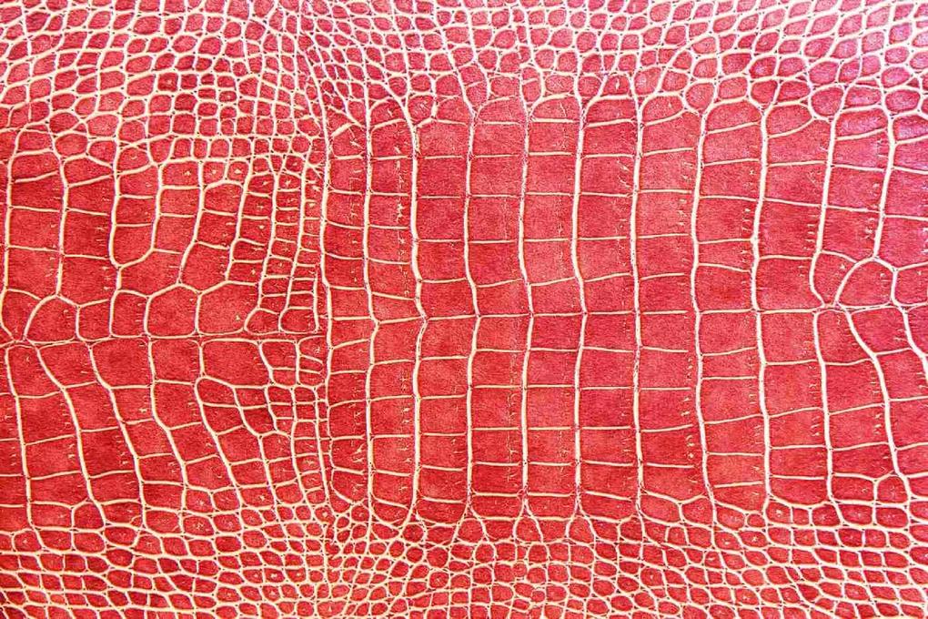 DIMEX | Vliesová fototapeta Textura červené krokodýlí kůže MS-5-2588 | 375 x 250 cm | červená, bílá
