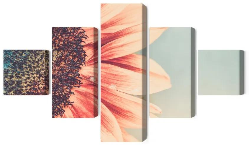 Vícedílný obraz Kvetoucí Slunečnice V Makro Měřítku Nedostatek Nedostatek Plátno Canvas 150x90