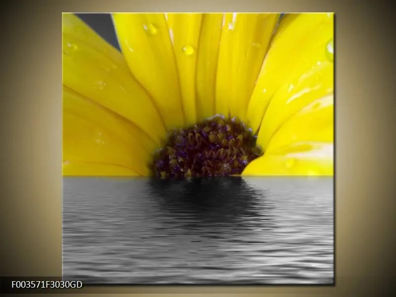 Obraz žlutého květu na hladině  (), 40 dalších rozměrů