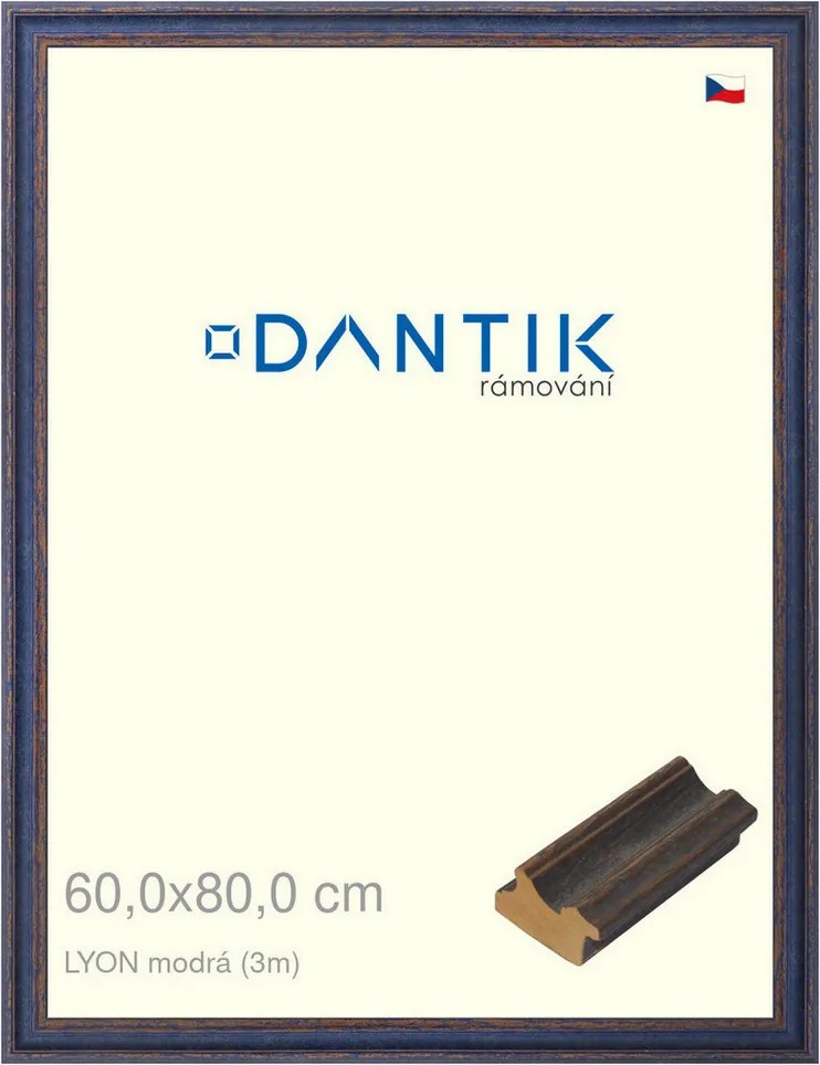 DANTIK rámeček 60x80 | LYON modrá (Plexi Čiré)