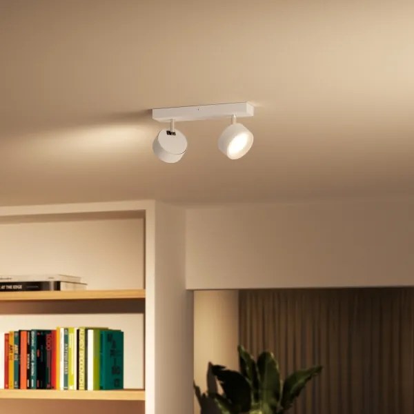 Philips - LED Bodové svítidlo BRACIA 2xLED/5,5W/230V bílá