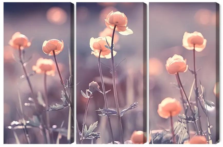 Vícedílný obraz Jarní 3D Květiny Nedostatek Nedostatek Přírodní plátno 150x100