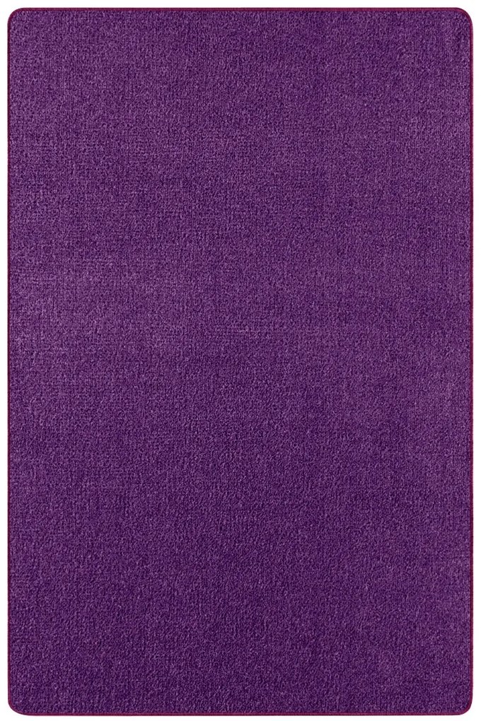 Hanse Home, Kusový koberec Nasty 101150 Purple, 80x200, fialová, chodba / předsíň