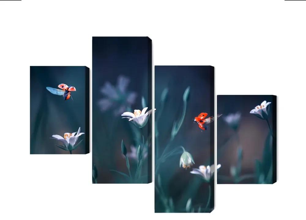 Vícedílný obraz Berušky A Květy V Makro Měřítku Nedostatek Nedostatek Přírodní plátno 80x50