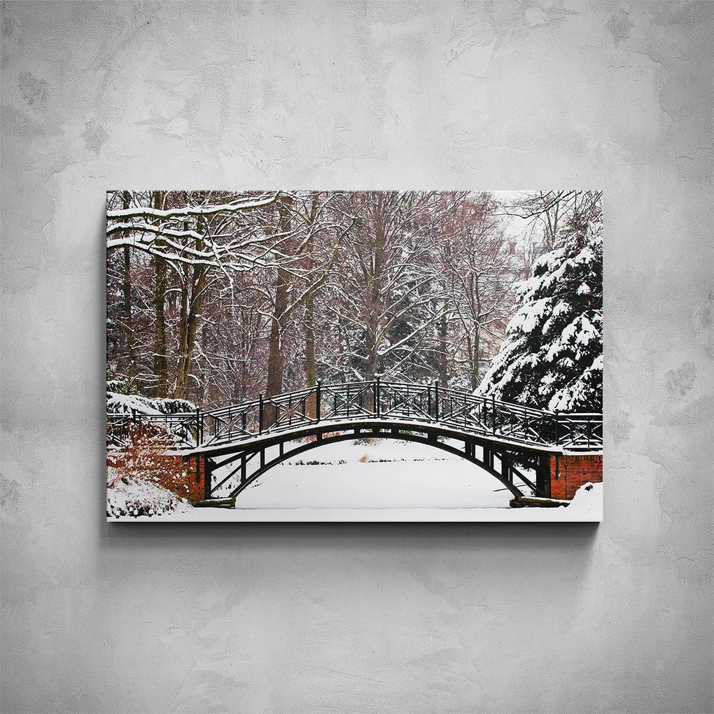 Obraz - Zasněžený most - PopyDesign