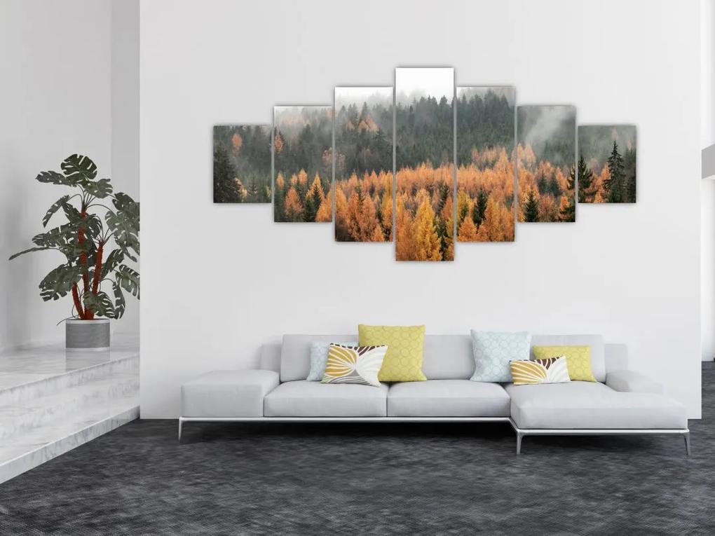 Obraz - Podzimní les (210x100 cm)