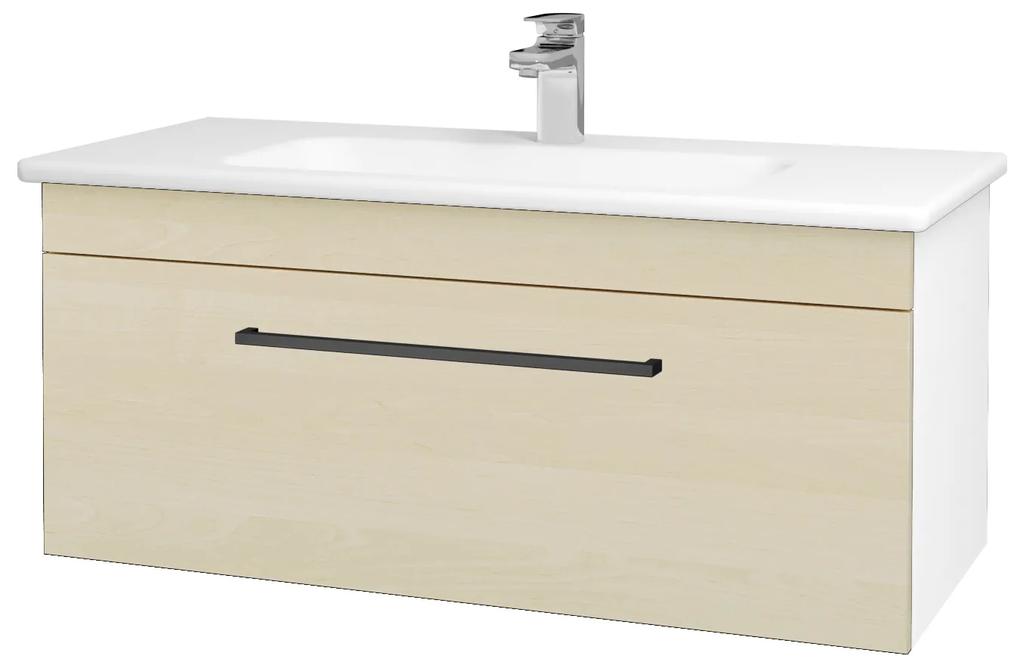 Dřevojas Koupelnová skříň ASTON SZZ 100 Varianta: D01 Beton / Úchytka T02 / D01 Beton