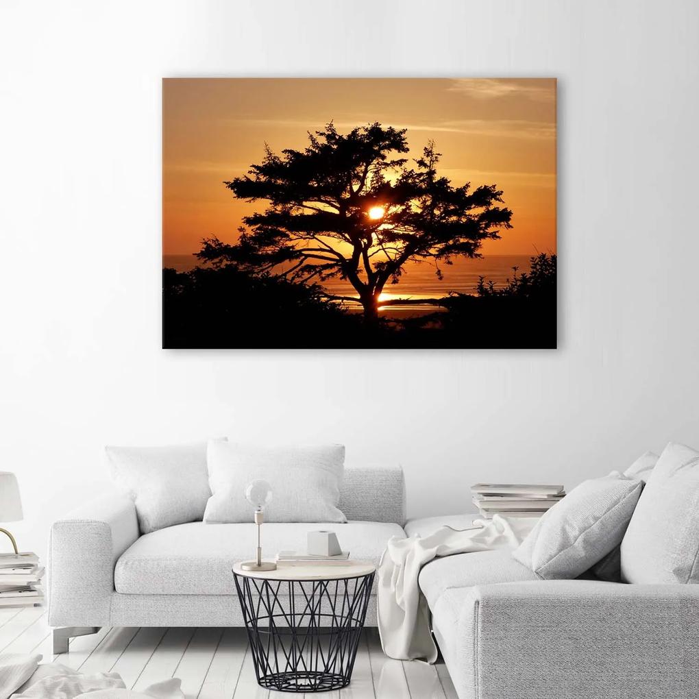 Gario Obraz na plátně Strom u moře při západu slunce Rozměry: 60 x 40 cm