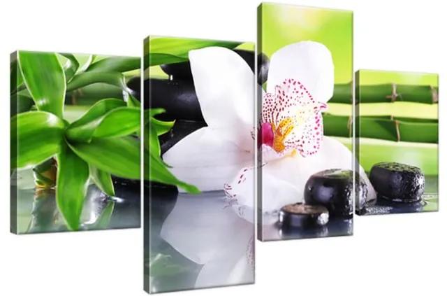 Tištěný obraz Bílá orchidej a kameny 120x70cm 1995A_4AA