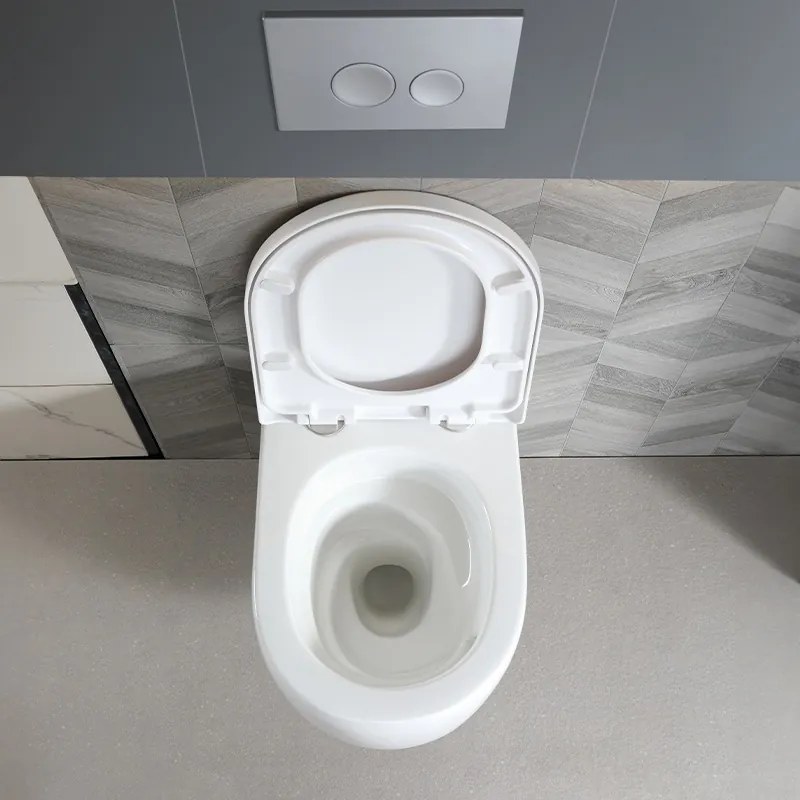 BPS-koupelny Podomítkový modul Geberit DuoFix s WC mísou LE-WH-TR-02 + ovládací tlačítko Delta 01 chrom
