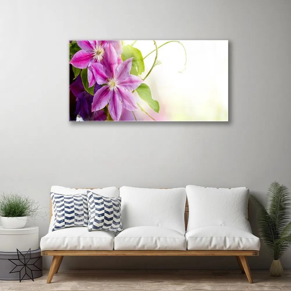 Obraz na skle Květiny Příroda 100x50 cm