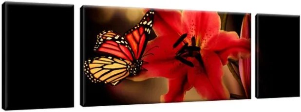 Tištěný obraz Motýli a lilie 170x50cm 1264A_3G