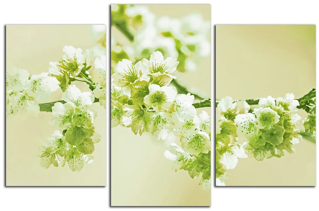 Obraz Zelené květy , vícedílný