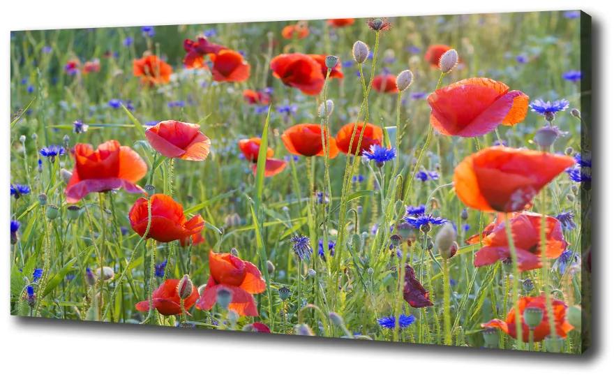 Wallmuralia Foto obraz na plátně do obýváku Plolní květiny 100x50