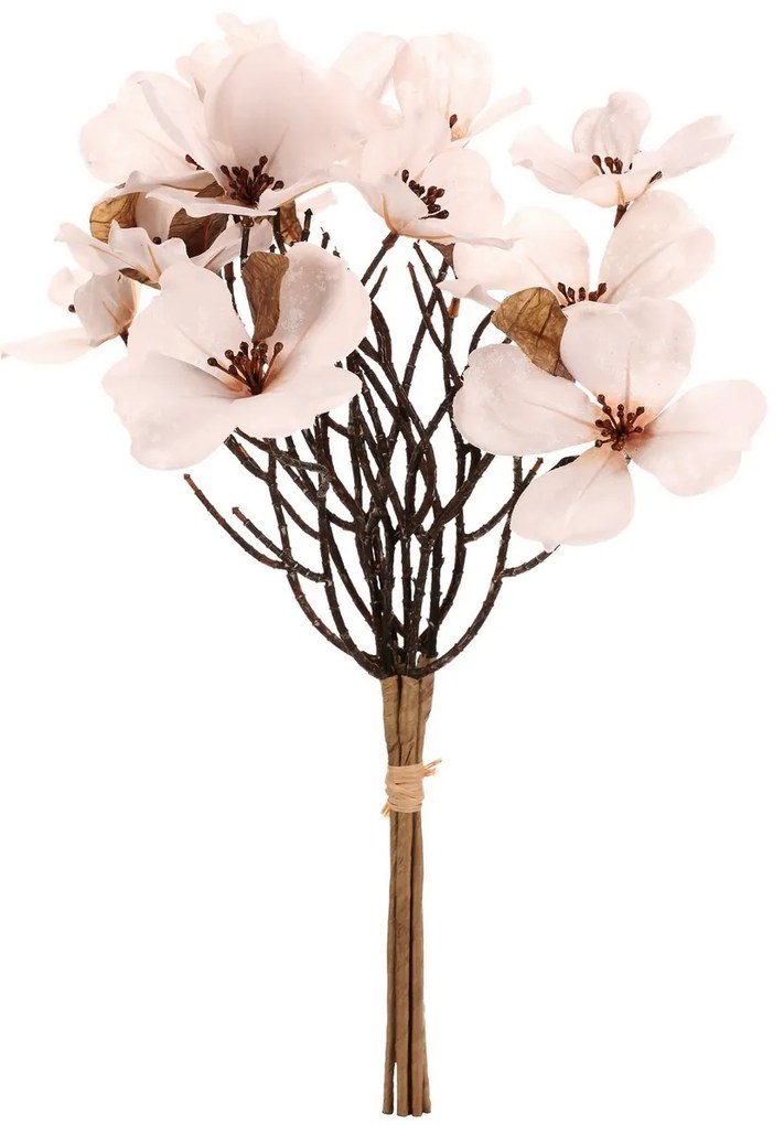 Magnolie bílá, 6 větviček ve svazku, 30 x 43 cm