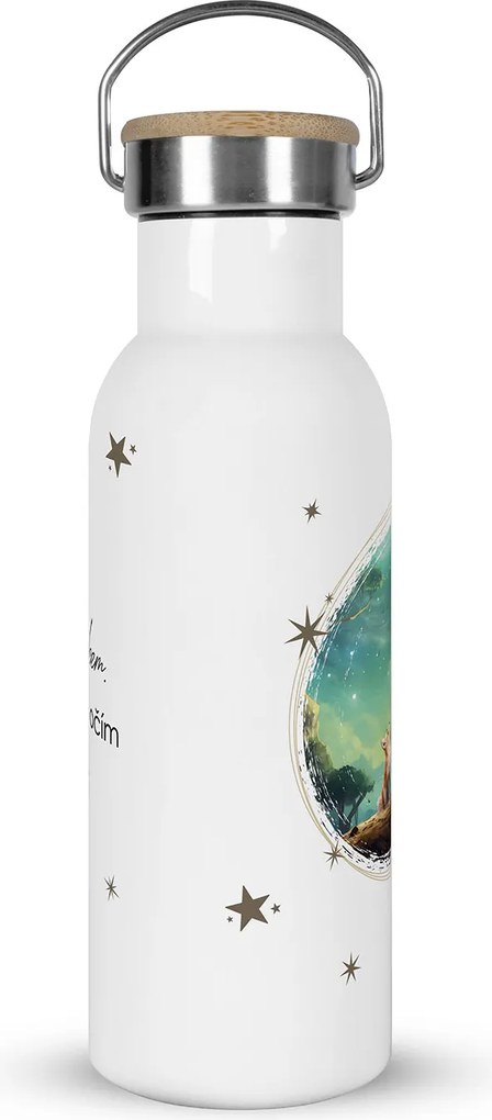 Termoska Malý princ Objem: 750 ml