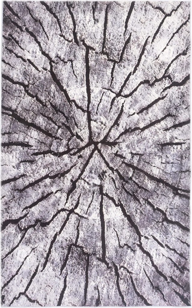 TZ Obdélníkový vzorovaný koberec Neo Rozměr: 160x200 cm