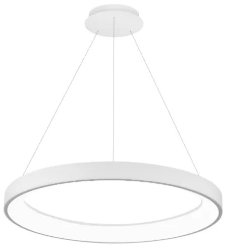 Závěsné LED svítidlo Palnas Dita Barva: Černá, Velikost: 58cm, Varianta: 3000-6500K