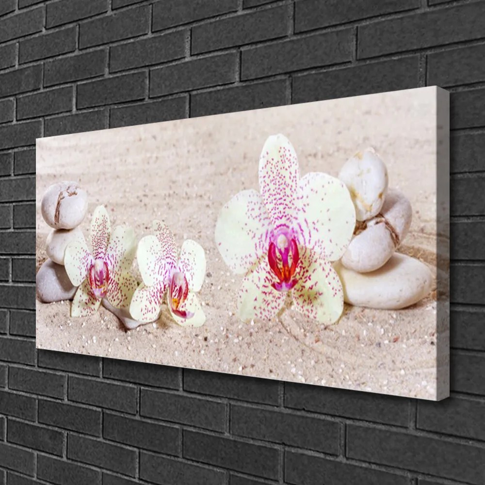 Obraz na plátně Orchidej Kameny Zen Písek 125x50 cm