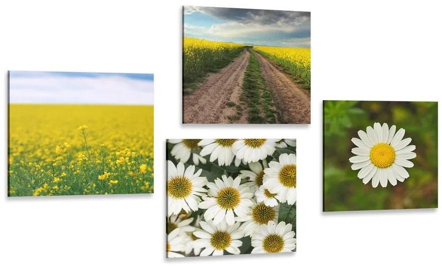 Set obrazů louka plná květin - 4x 60x60 cm