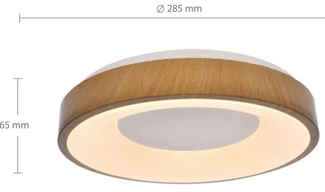 Brilagi - LED Stropní svítidlo DORIA LED/24W/230V