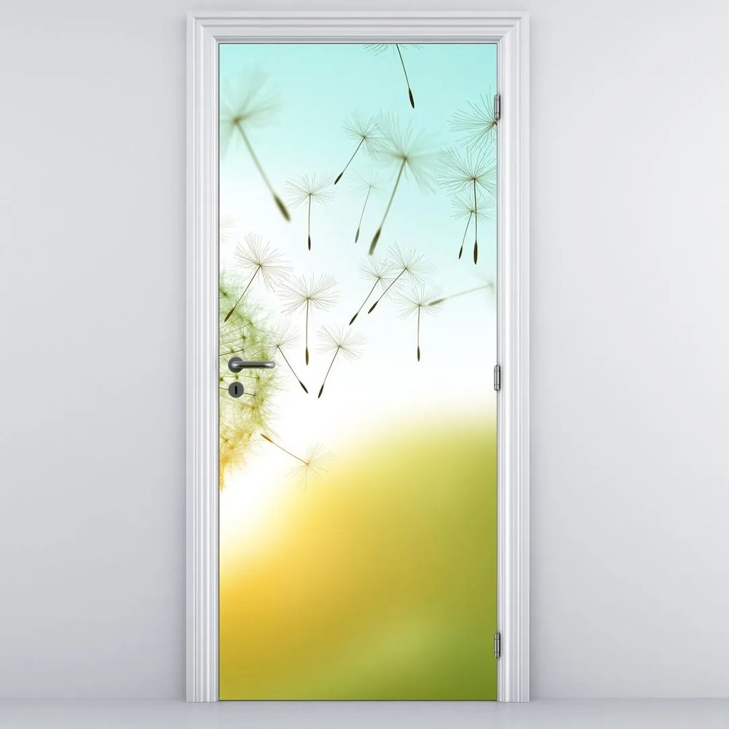 Fototapeta na dveře - Pampeliška ve větru (95x205cm)