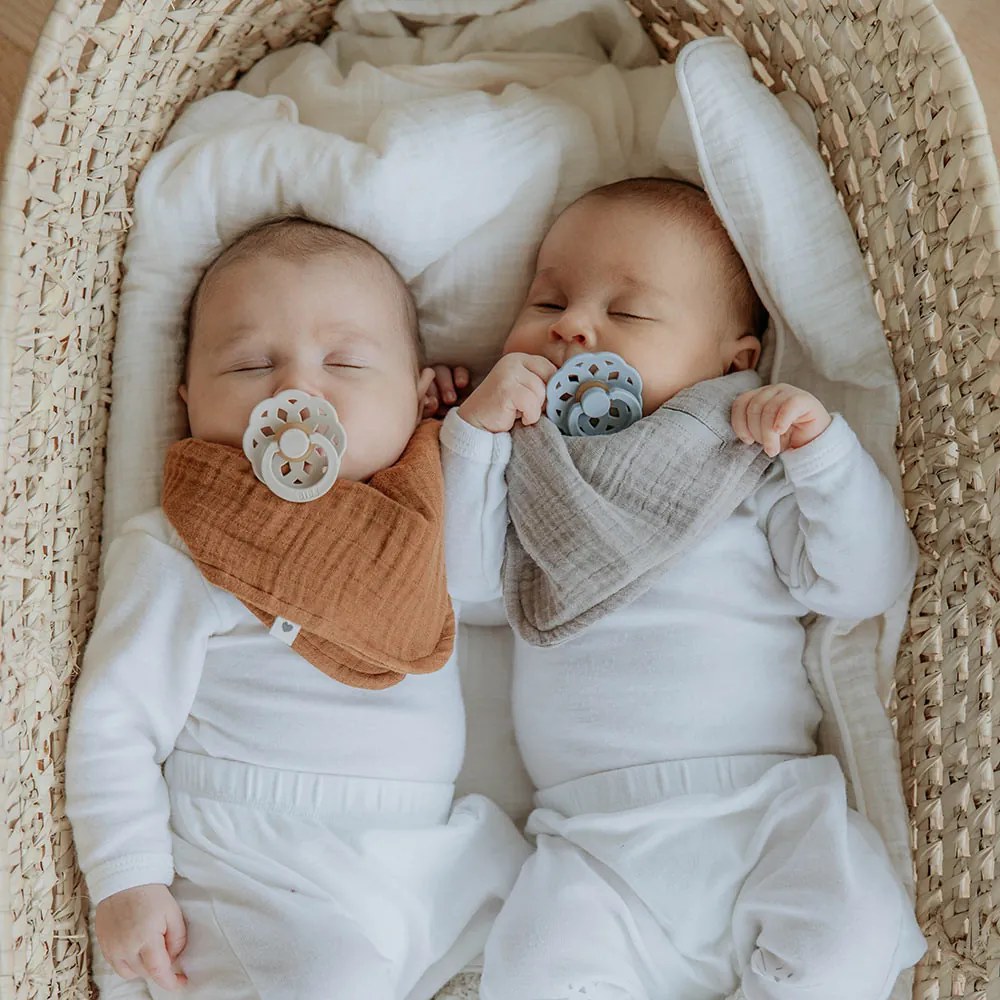 Bibs Dudlíky kaučuk 2 ks 0-6 měsíců Boheme  Blossom - Dusky lilac