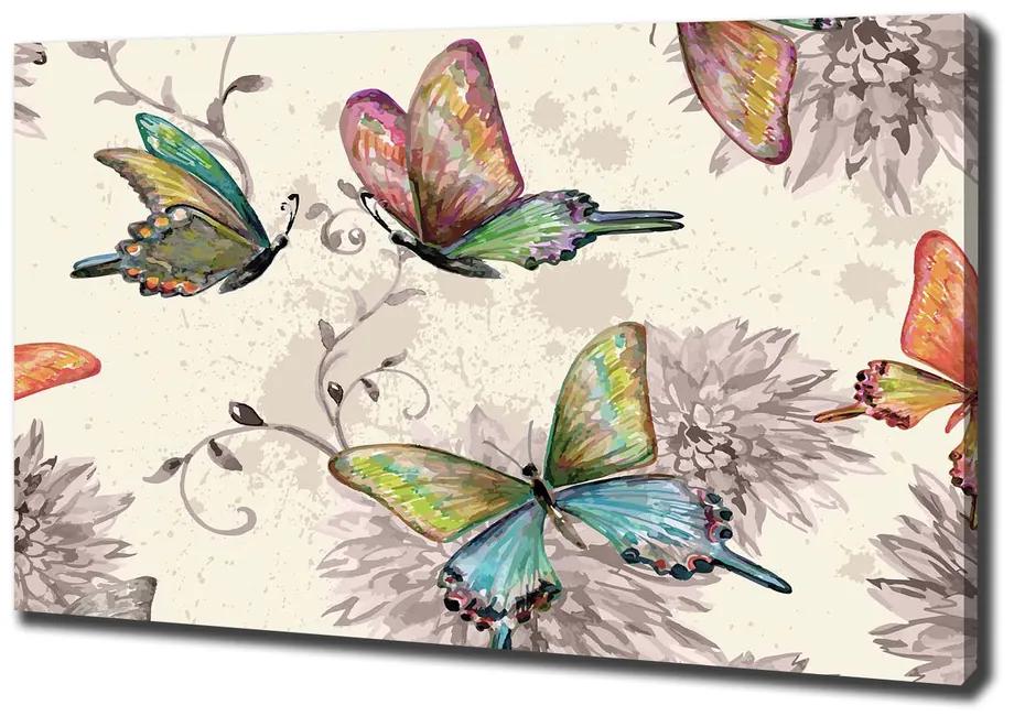 Wallmuralia Foto obraz na plátně Motýli a květiny 100x70 cm