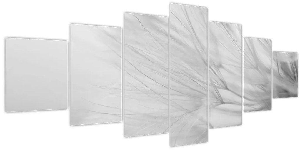 Obraz - Pampeliška (210x100 cm)