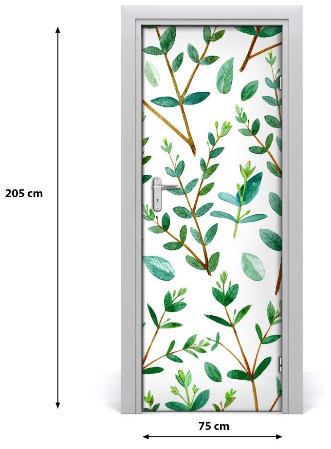 Samolepící fototapeta na dveře eukaliptus 75x205 cm