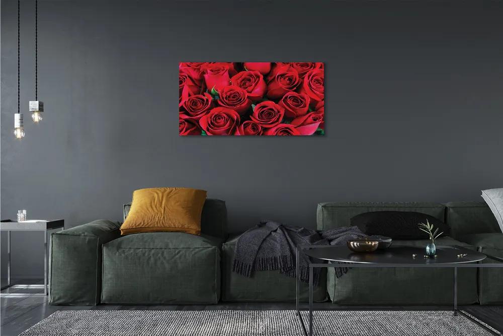 Obrazy na plátně Růže 125x50 cm