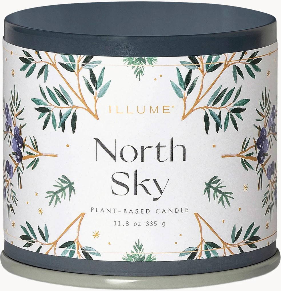 Vonná svíčka North Sky (citrusové plody, černý rybíz, ebenové dřevo)