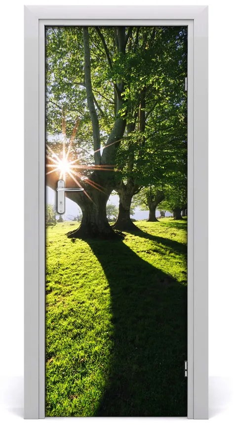 Fototapeta na dveře park 75x205 cm