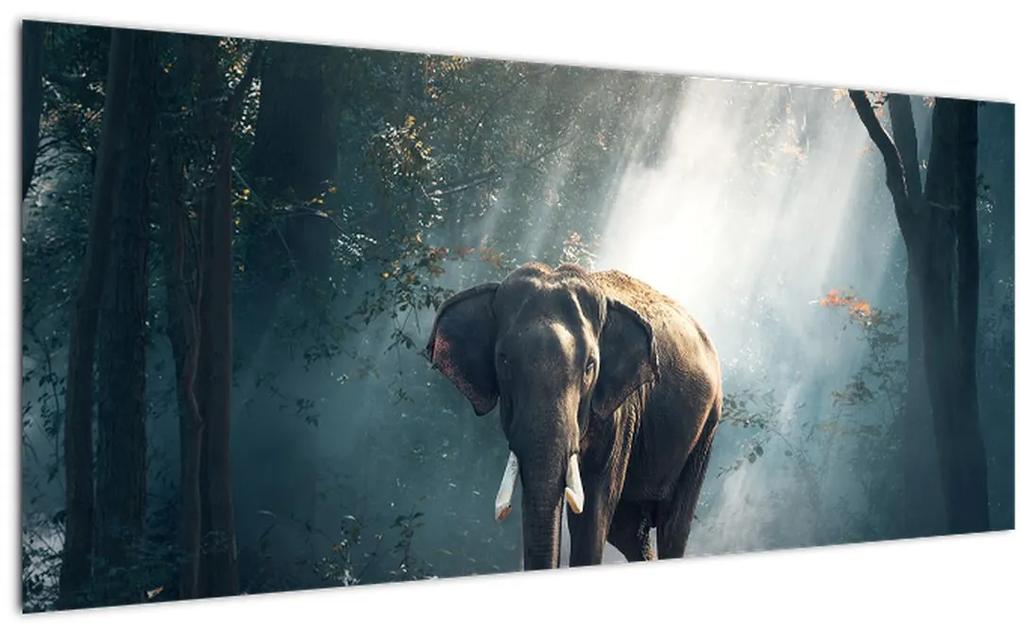Obraz slona v džungli (100x40 cm), 40 dalších rozměrů