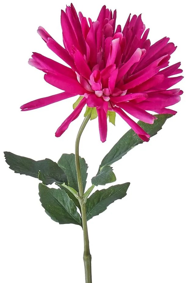 FLORISTA Jiřina 59 cm - tm. růžová