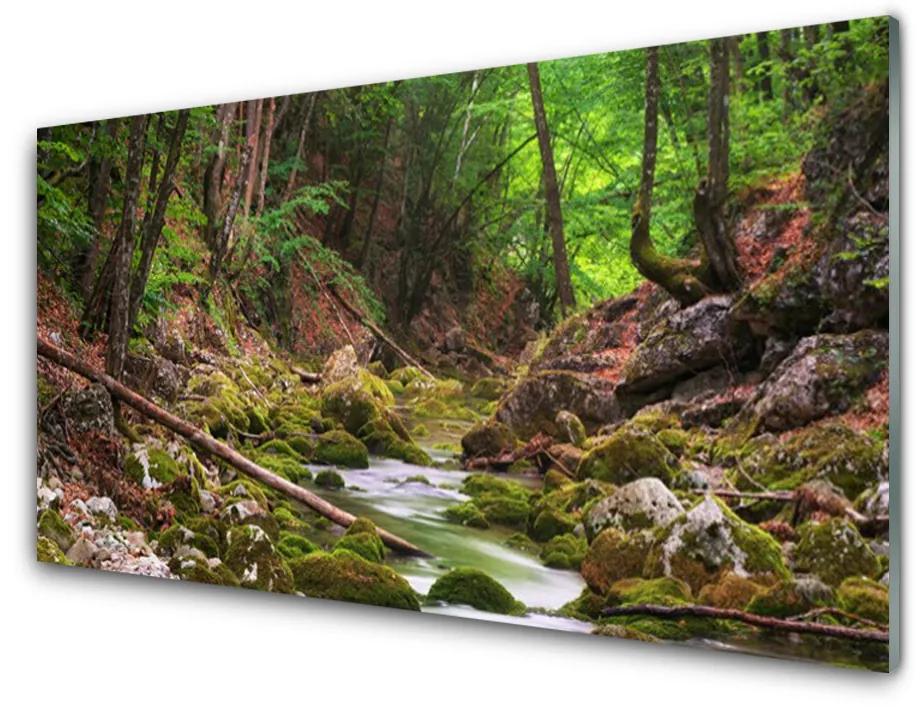 akrylový obraz Les Mech Příroda 100x50 cm