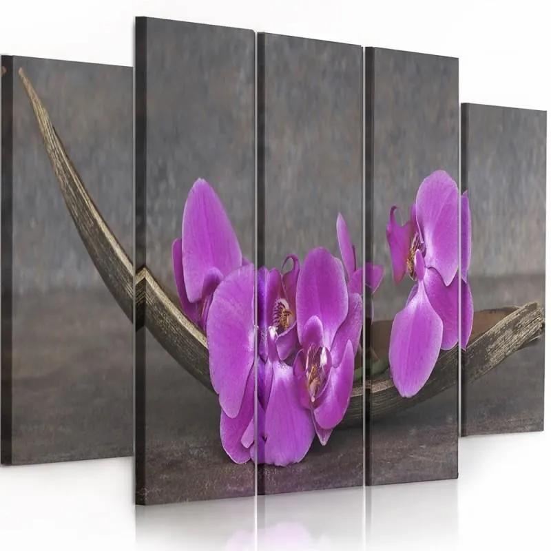 CARO Obraz na plátně - Pink Orchids 150x100 cm