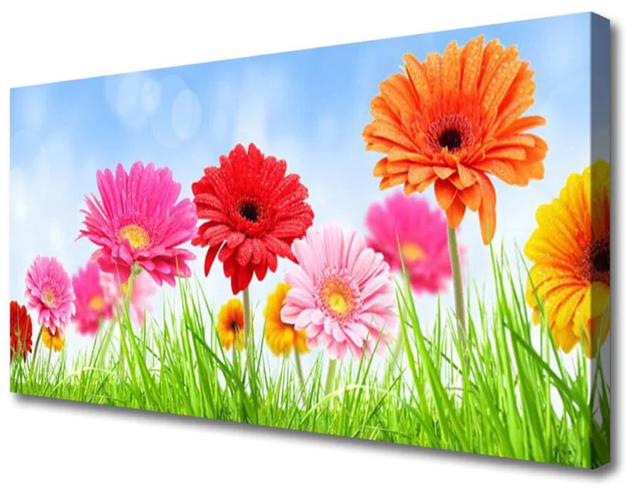 Obraz na plátně Květiny tráva Rostlina 100x50 cm