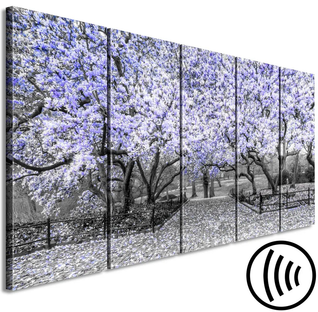 Obraz Kvetoucí magnólie - černobílá fotografie s fialovým akcentem
