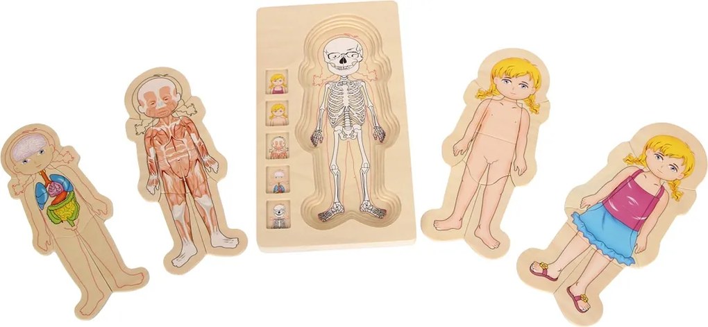 small foot Dřevěné puzzle anatomie