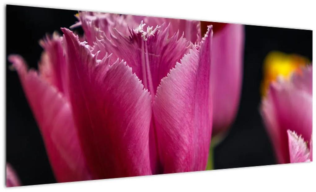 Tulipány - obrazy (100x40cm)