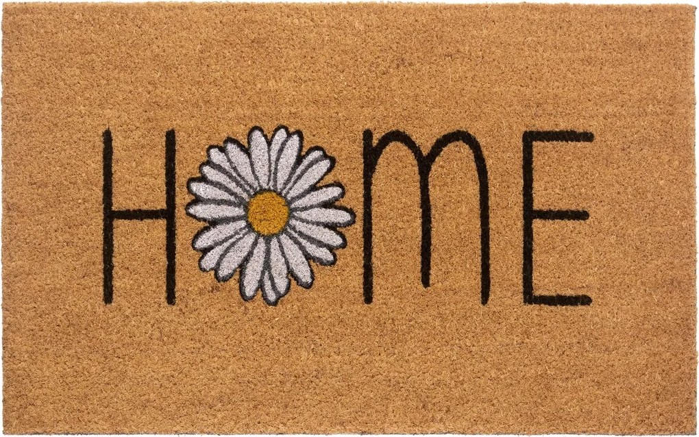 Hanse Home, Rohožka Home 105580 - na ven i na doma, 45x75, hnědá, chodba / předsíň