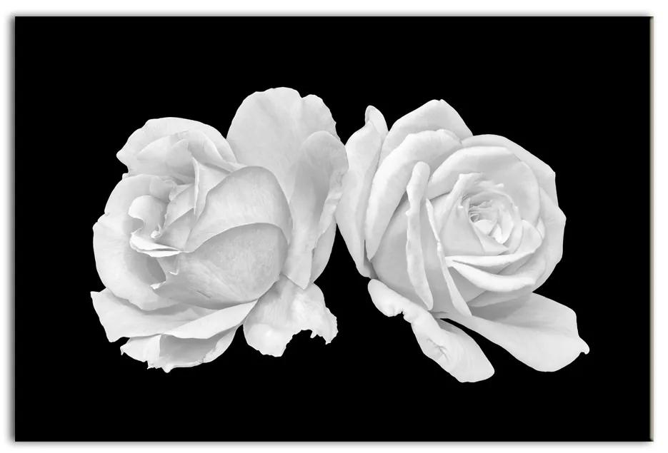 Obraz Růže Velikost (šířka x výška): 90x60 cm
