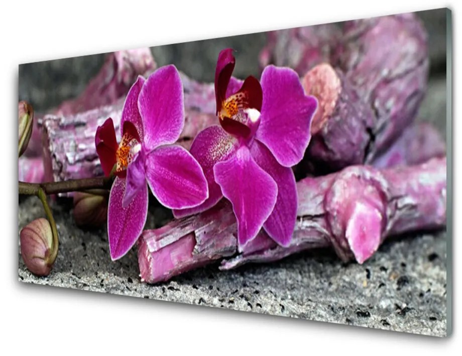 Obraz na skle Dříví Květiny Rostlina Příroda 125x50 cm