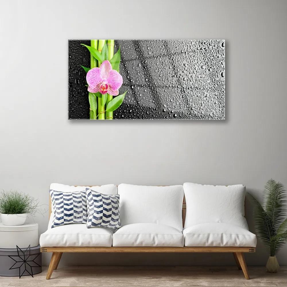 Obraz na skle Bambus Stonke Květ Rostlina 100x50 cm