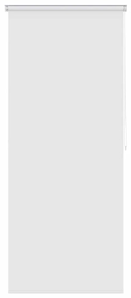 Sprchová roleta 100 x 240 cm bílá 142842